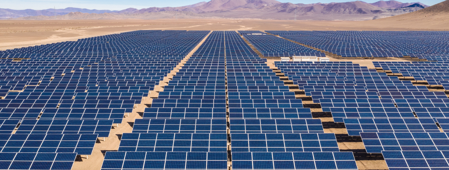 Enel X as Gold Renewable Energy Partner of CDP | Enel X